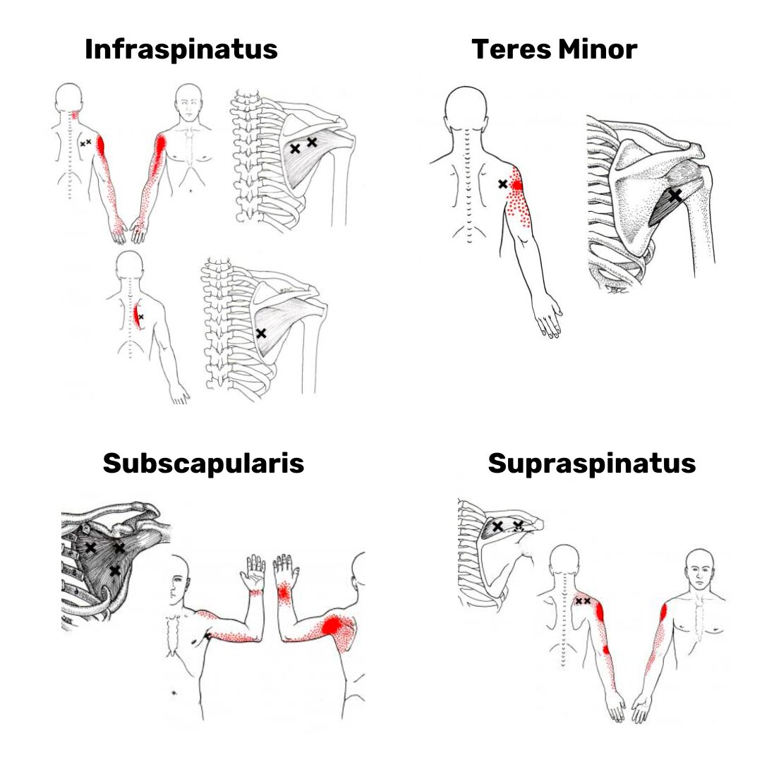 Quick Tip For Shoulder & Elbow Pain