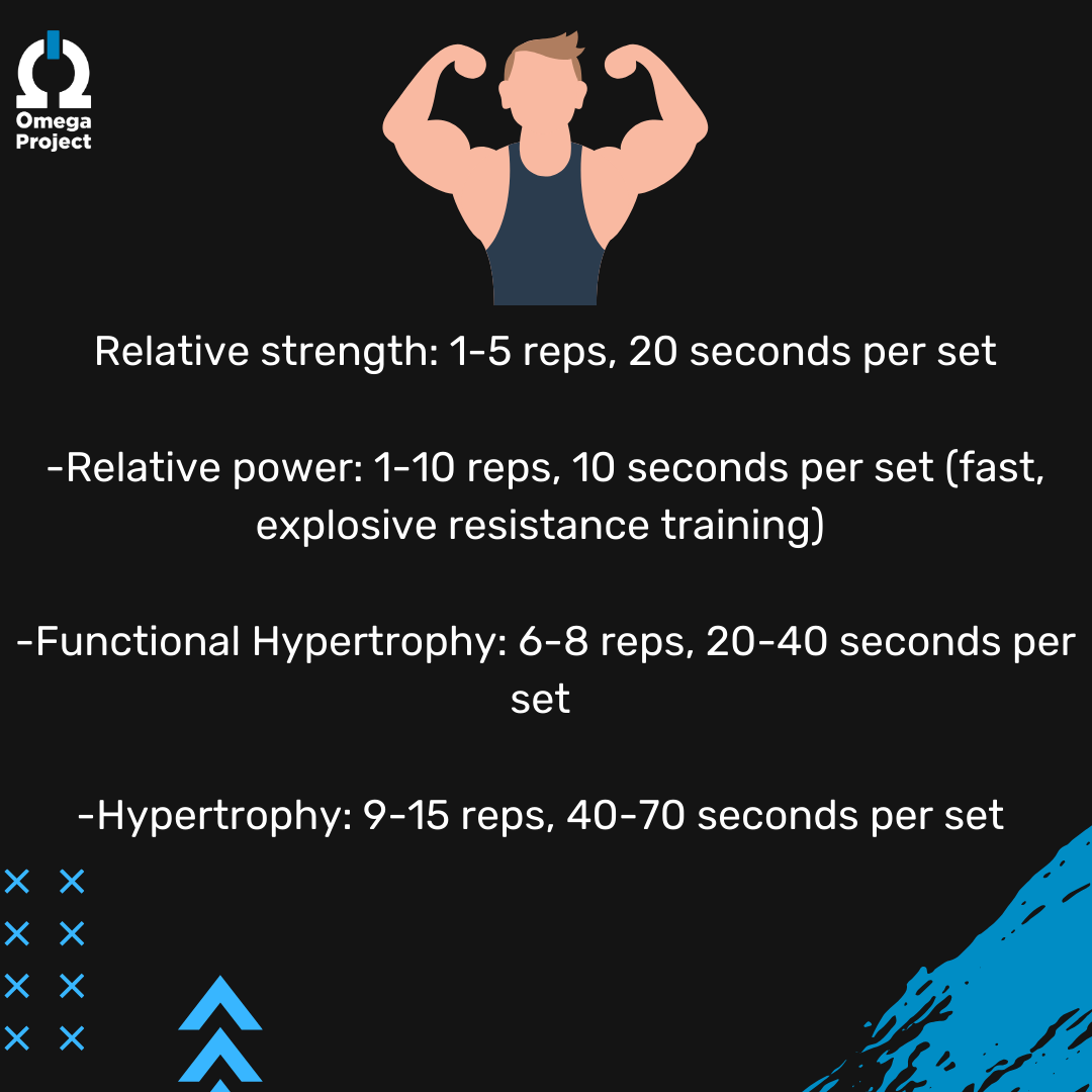 Get to Know Your Muscles: Understanding and maximizing your strength ...